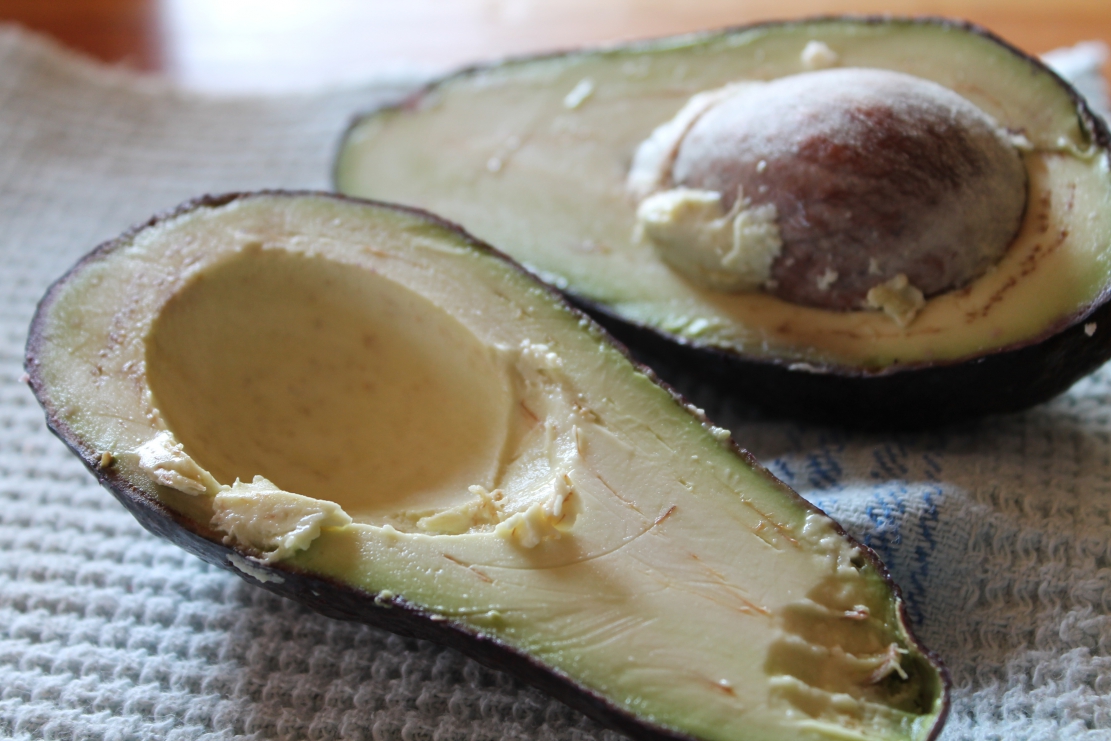 Red de Viveros de Biodiversidad